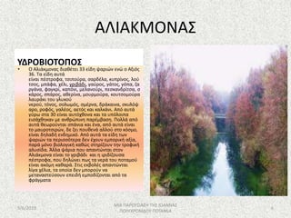 River | PPT