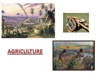 The Stone Age | River Valley Civilisation | PPT