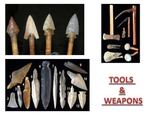 Indus Valley Civilization Tools