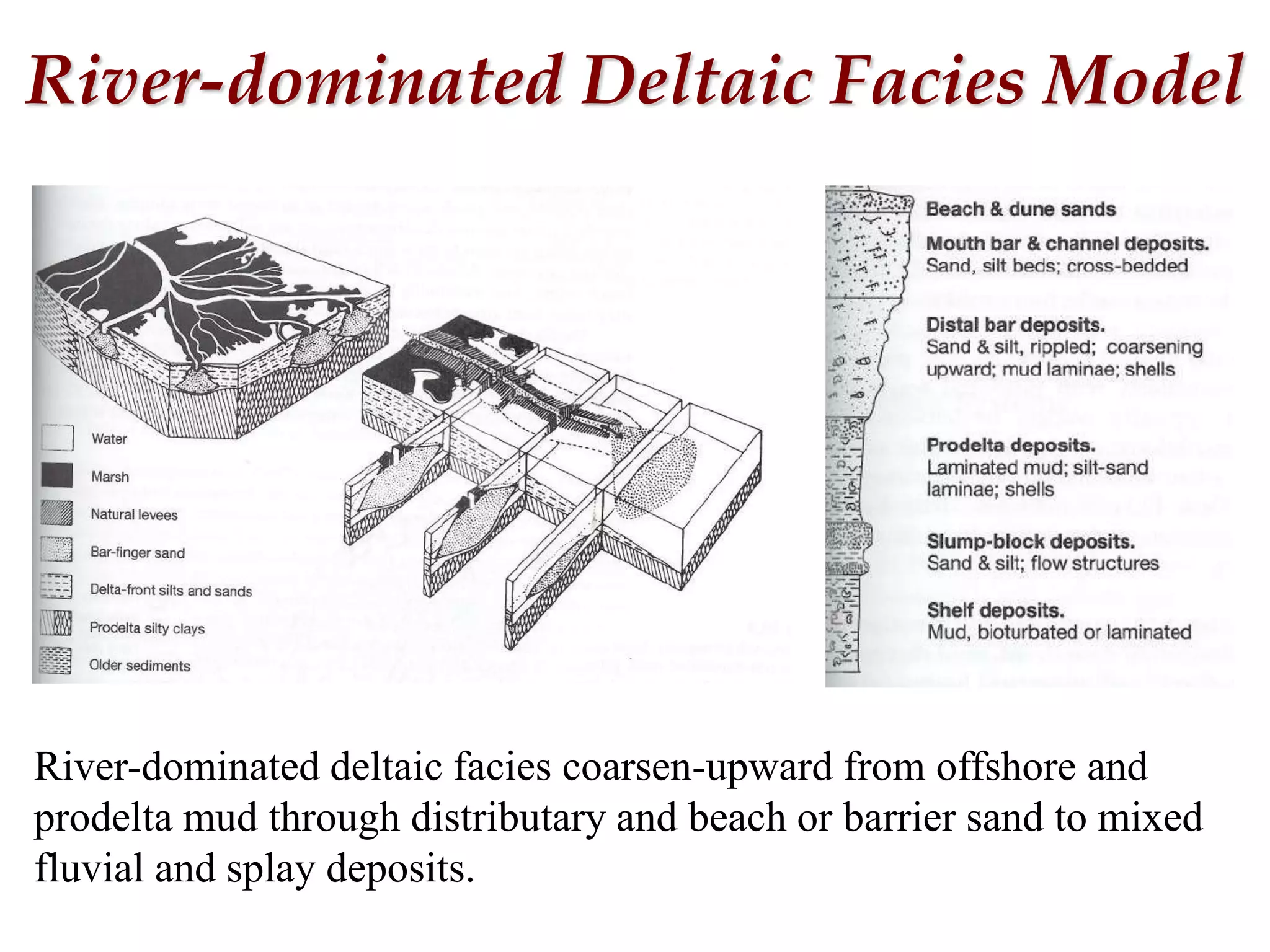 River-dominated Delta Morphology.ppt