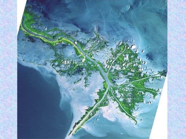 River-dominated Delta Morphology.ppt | Geography | Science