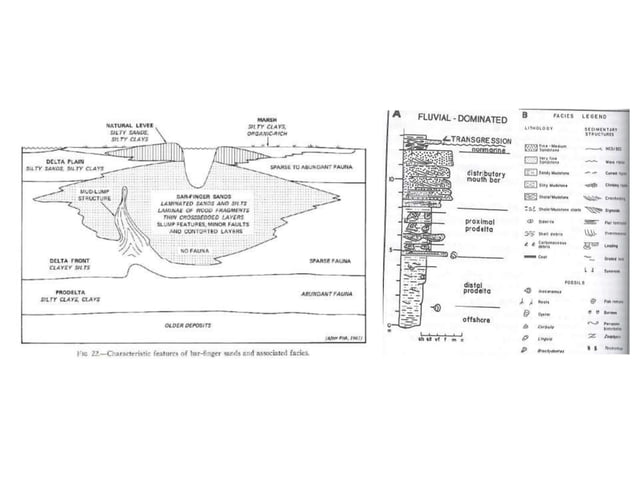 River-dominated Delta Morphology.ppt | Geography | Science