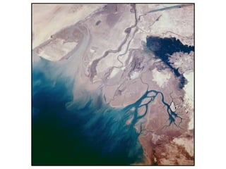 River-dominated Delta Morphology.ppt
