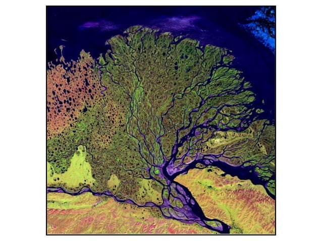 River-dominated Delta Morphology.ppt | Geography | Science