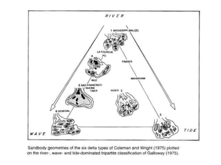 River-dominated Delta Morphology.ppt