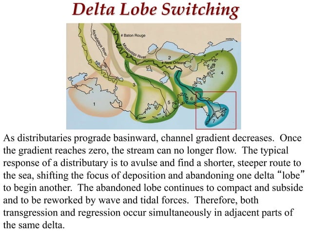 River-dominated Delta Morphology.ppt | Geography | Science