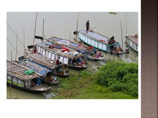 River gypsies | PPTX