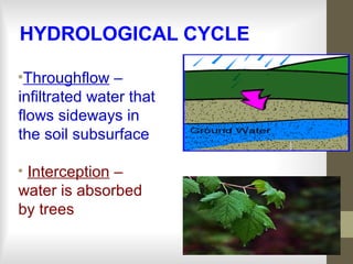 River 1 hydro cycle and river system | PPT | Geography | Science