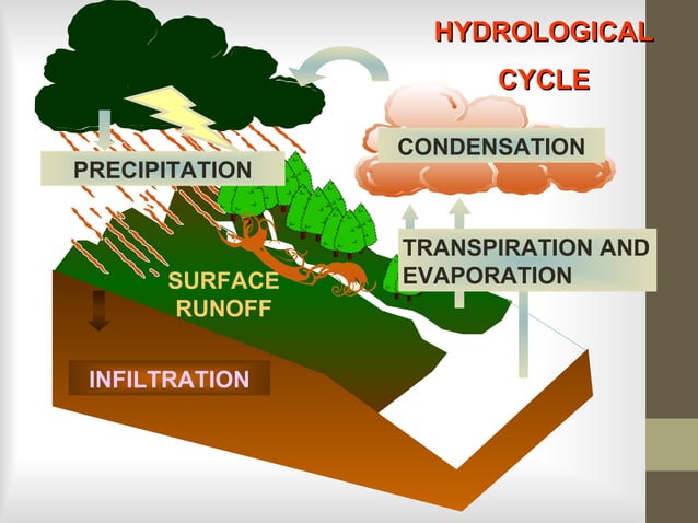 River 1 hydro cycle and river system | PPT | Geography | Science