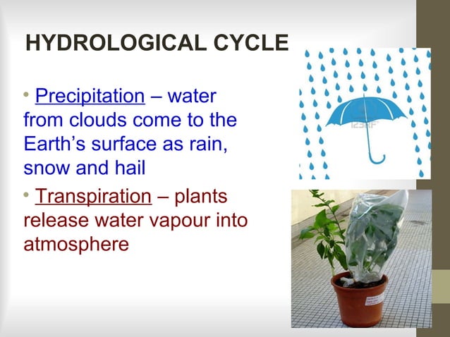 River 1 hydro cycle and river system | PPT