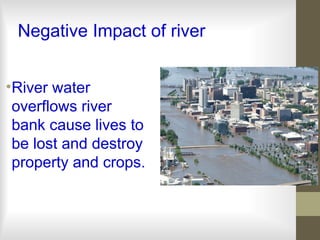 River 3 delta meander impacts | PPT