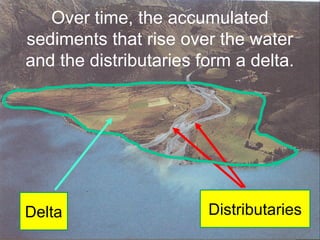 Deltas And Distributaries