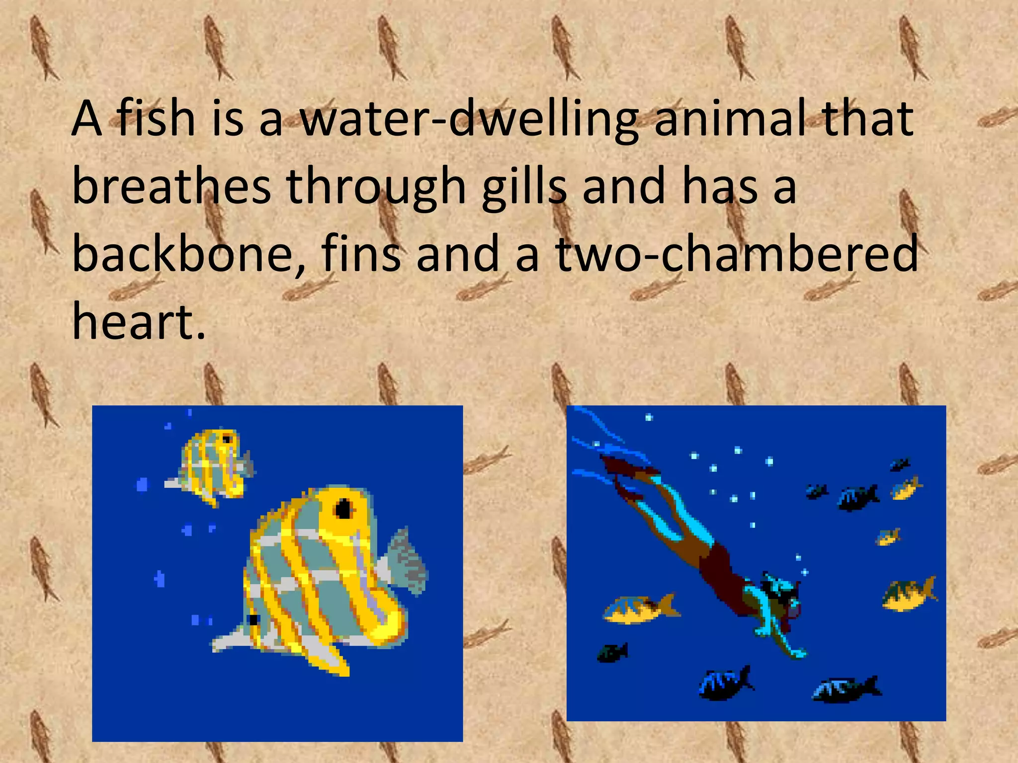 River animals.pptx alarna | PPTX