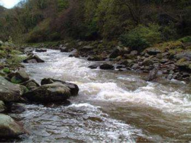 River channel processes