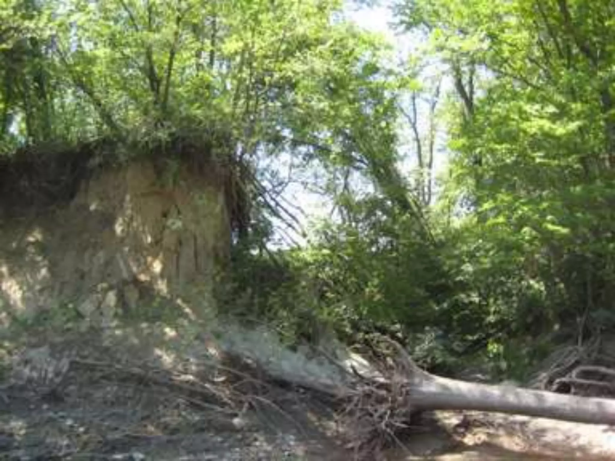 CAMBRIDGE GEOGRAPHY AS - HYDROLOGY AND FLUVIAL GEOMORPHOLOGY: 1.3 RIVER ...