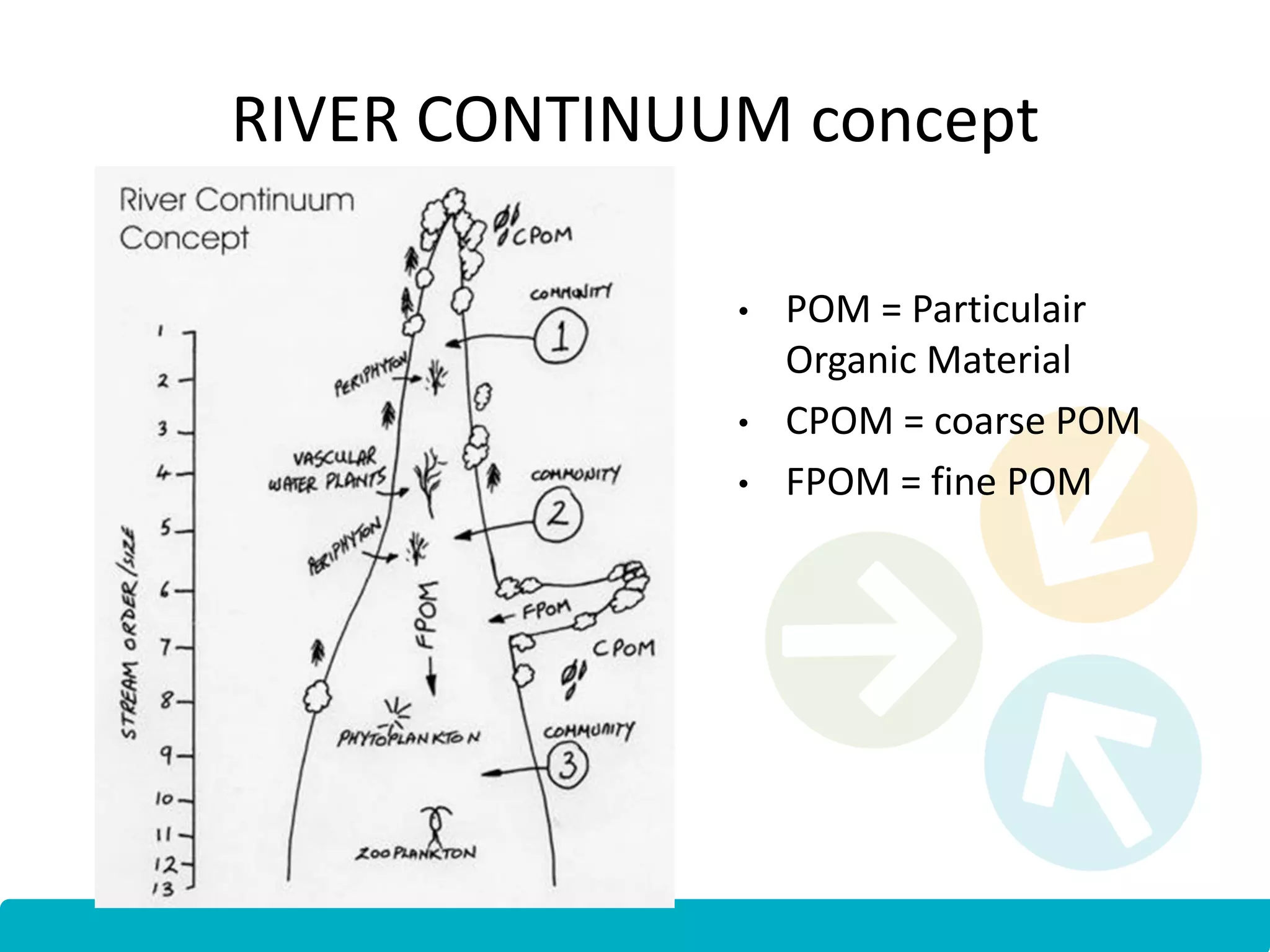 River continuum concept and measurement sunday 15 september | PDF