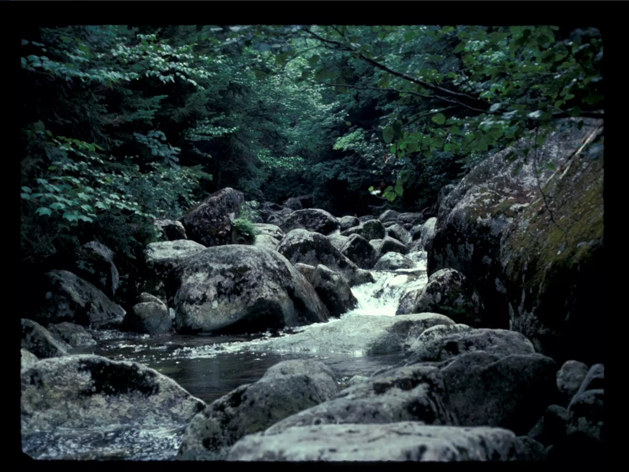 River continuum concept and measurement sunday 15 september | PDF