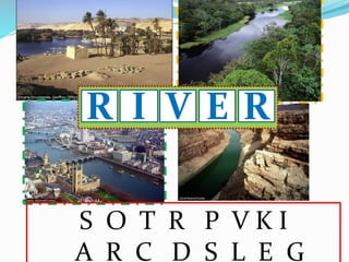 River ecology | PPTX