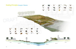Design Concepts & Implementation Plan - Draft RiverFIRST Proposal | PDF