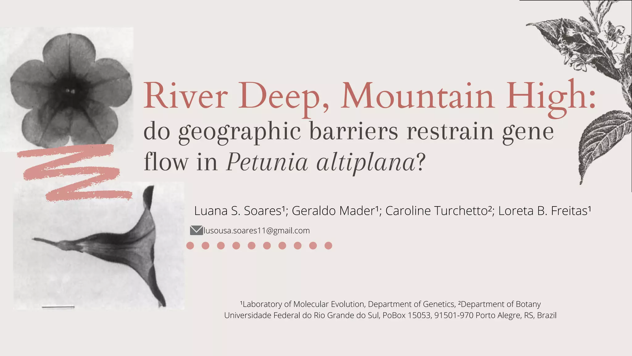 River Deep, Mountain High: do geographic barriers restrain gene flow in ...