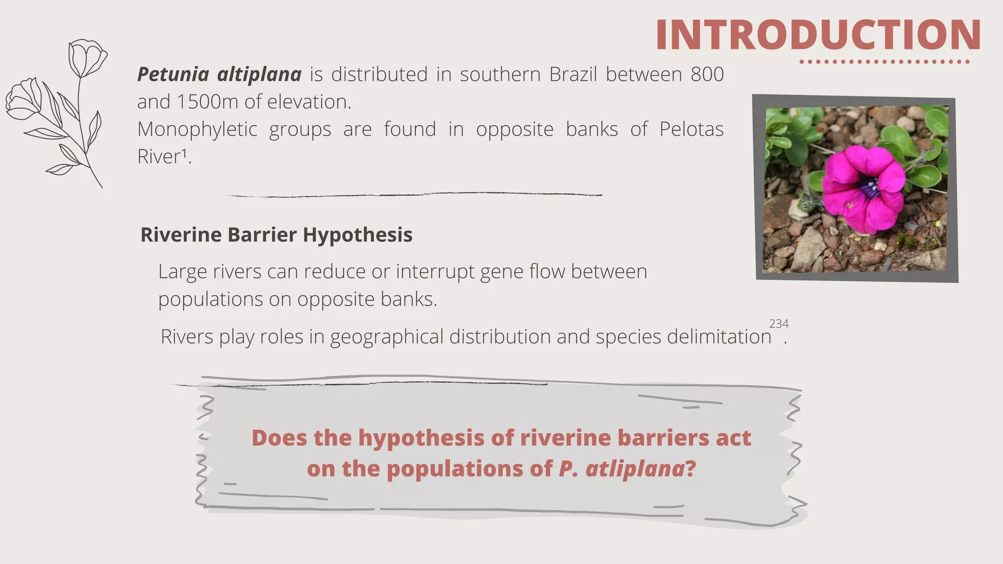 River Deep, Mountain High: do geographic barriers restrain gene flow in ...