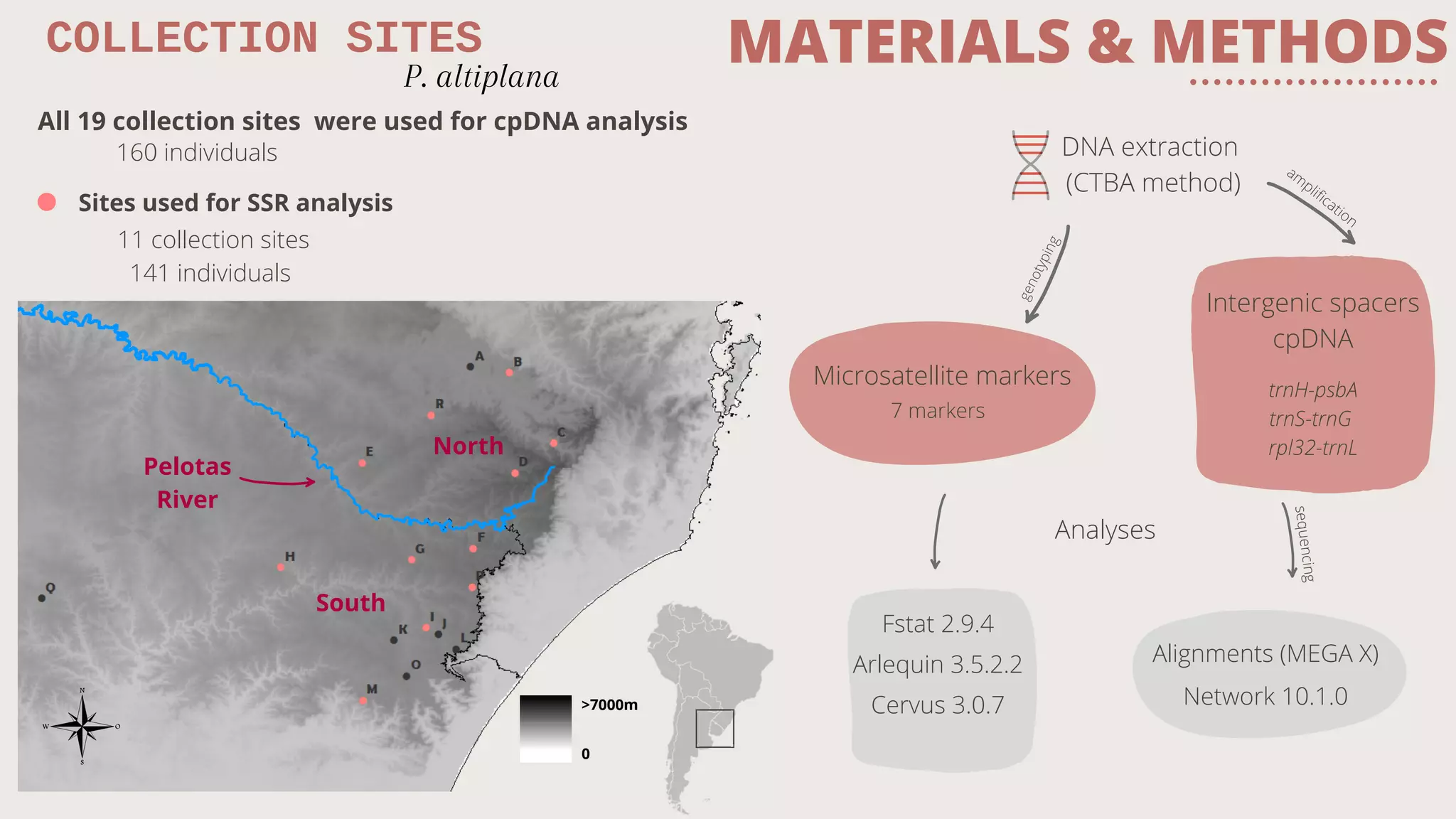 River Deep, Mountain High: do geographic barriers restrain gene flow in ...