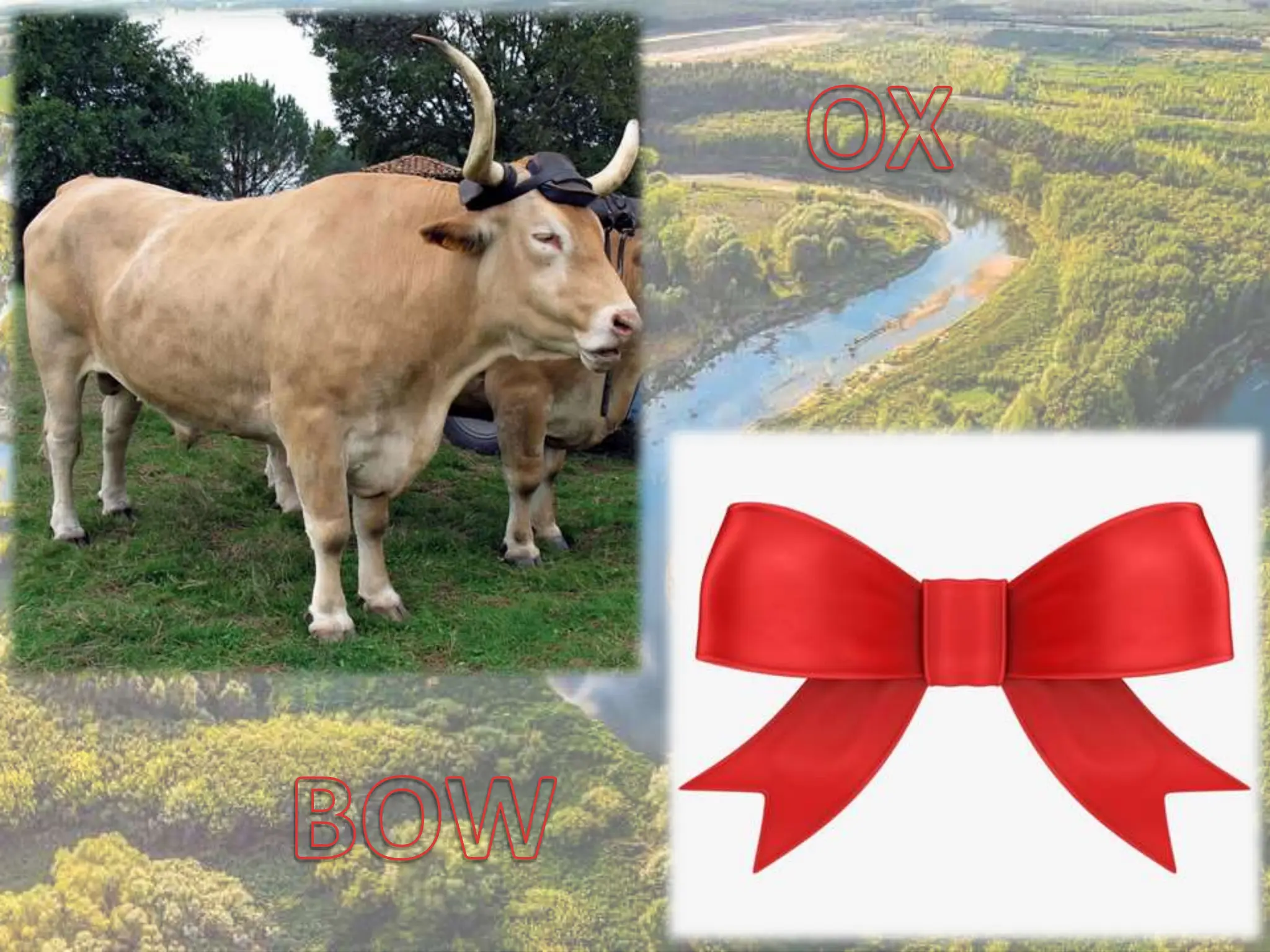 River landforms in middle and lower courses, meanders and oxbow lakes ...