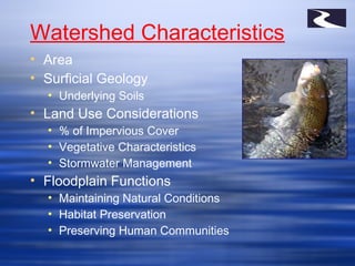 Overview: The Functions & Values of Rivers | PPT