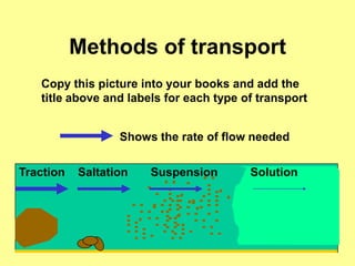 River processes | PPT