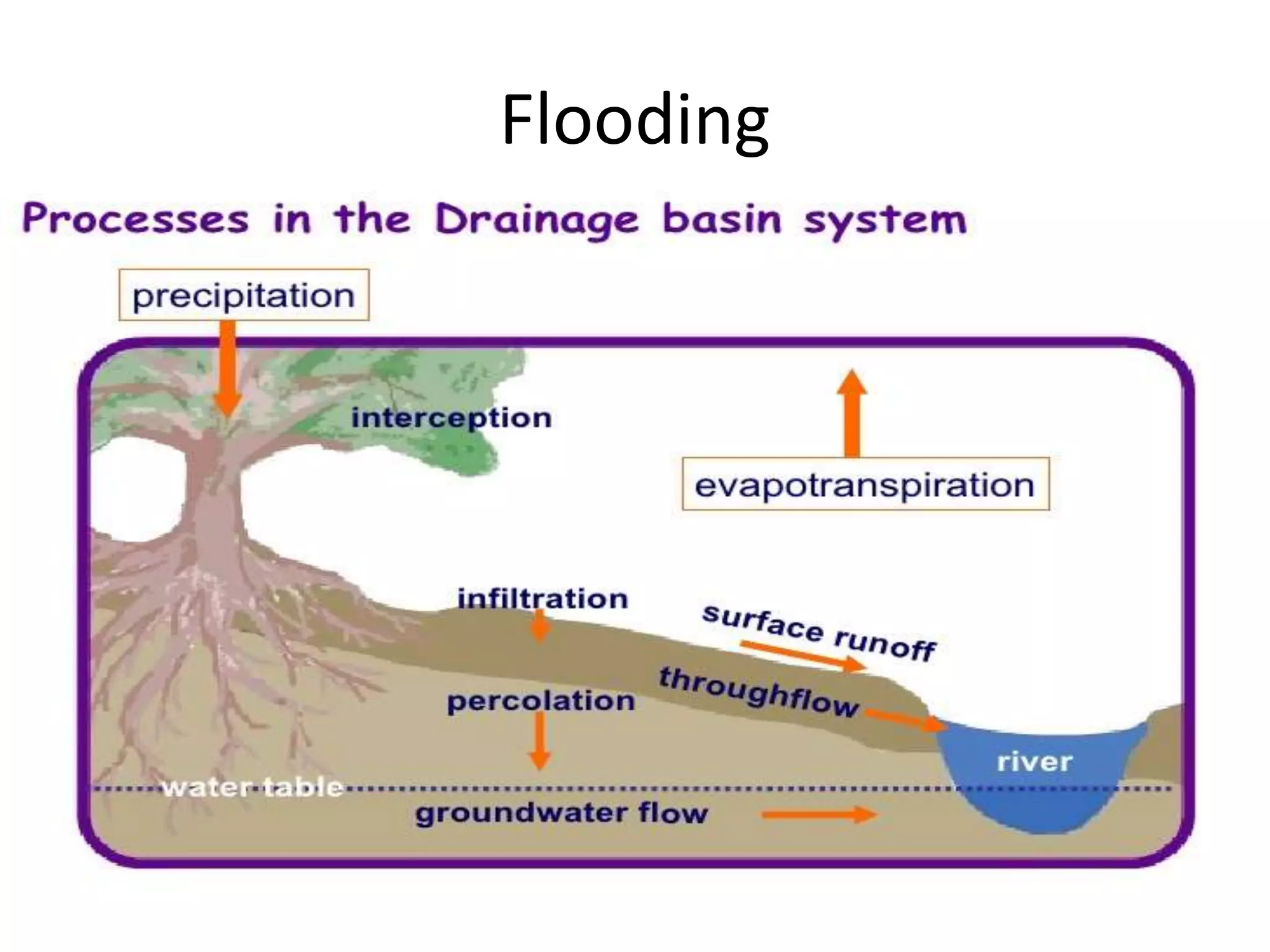 River processes & landforms | PPTX