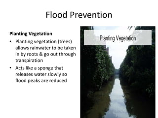 River processes & landforms | PPTX