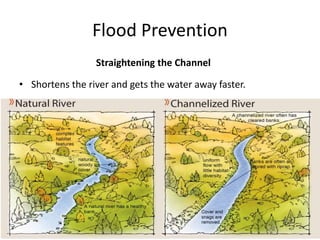 River processes & landforms | PPTX