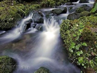 Uses of Rivers | PPT