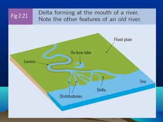 Distributaries Diagram