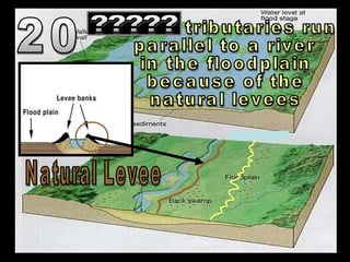 Rivers and Water Quality Quiz Game | PPT