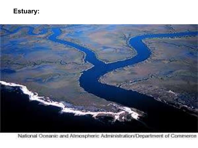 Geological action of river and wind.ppt | Geography | Science