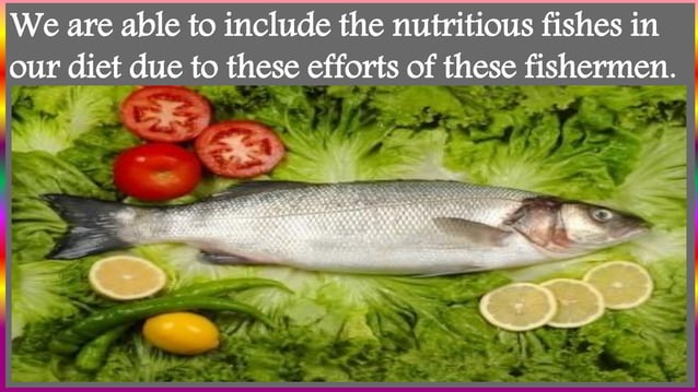 Rivers - livelihood | PPT