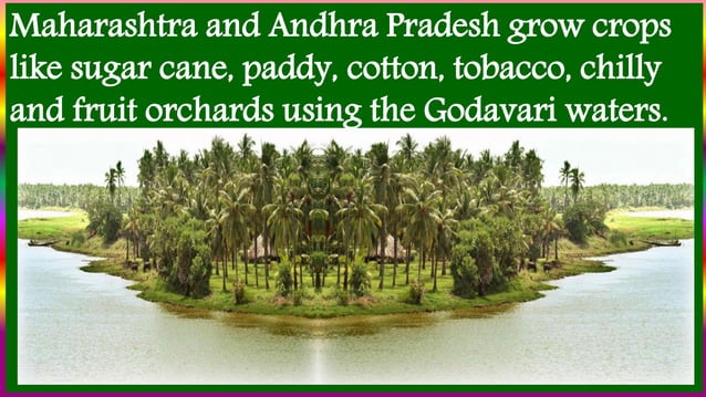 Rivers - livelihood | PPT