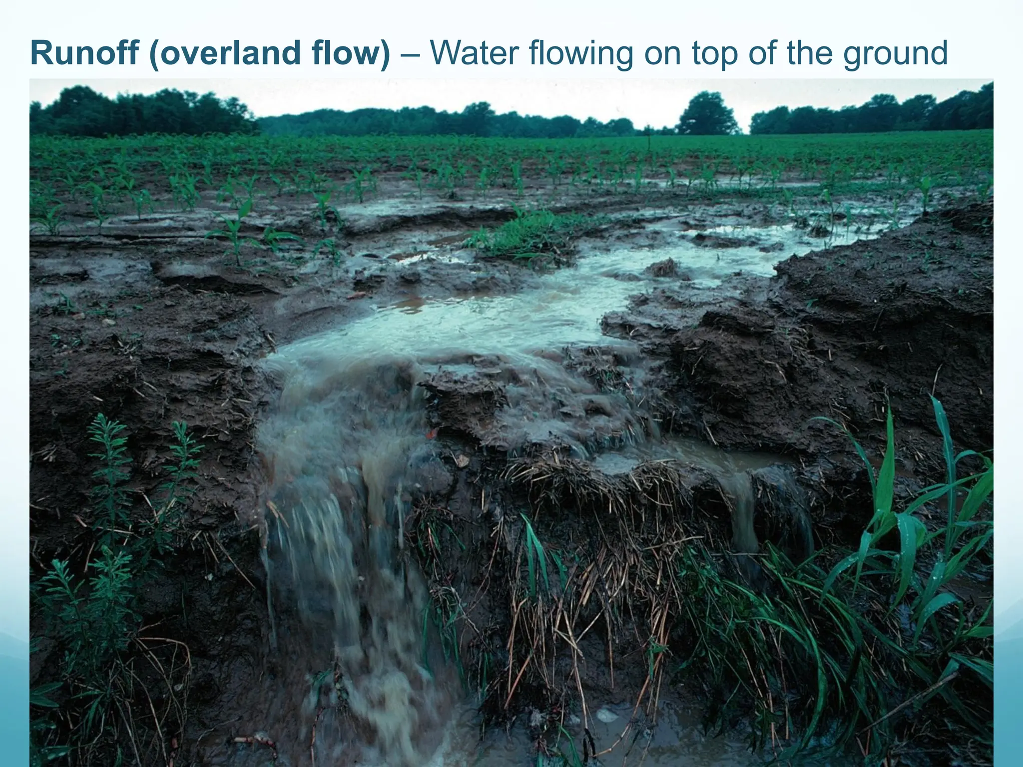 THE NATURAL ENVIRONMENT: Rivers Drainage-Basins.pptx