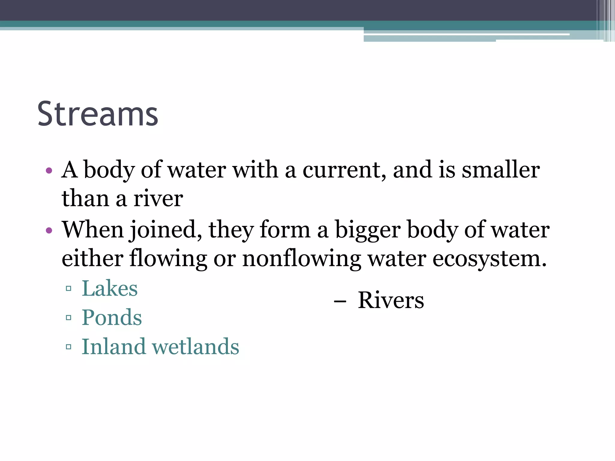 Rivers and streams | PPTX