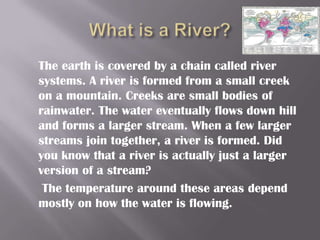 Rivers and wetlands | PPTX