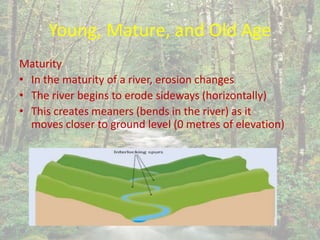 Rivers are more_than_water | PPTX | Geography | Science