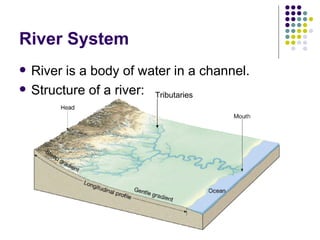 Rivers & Environments | PPT | Geography | Science