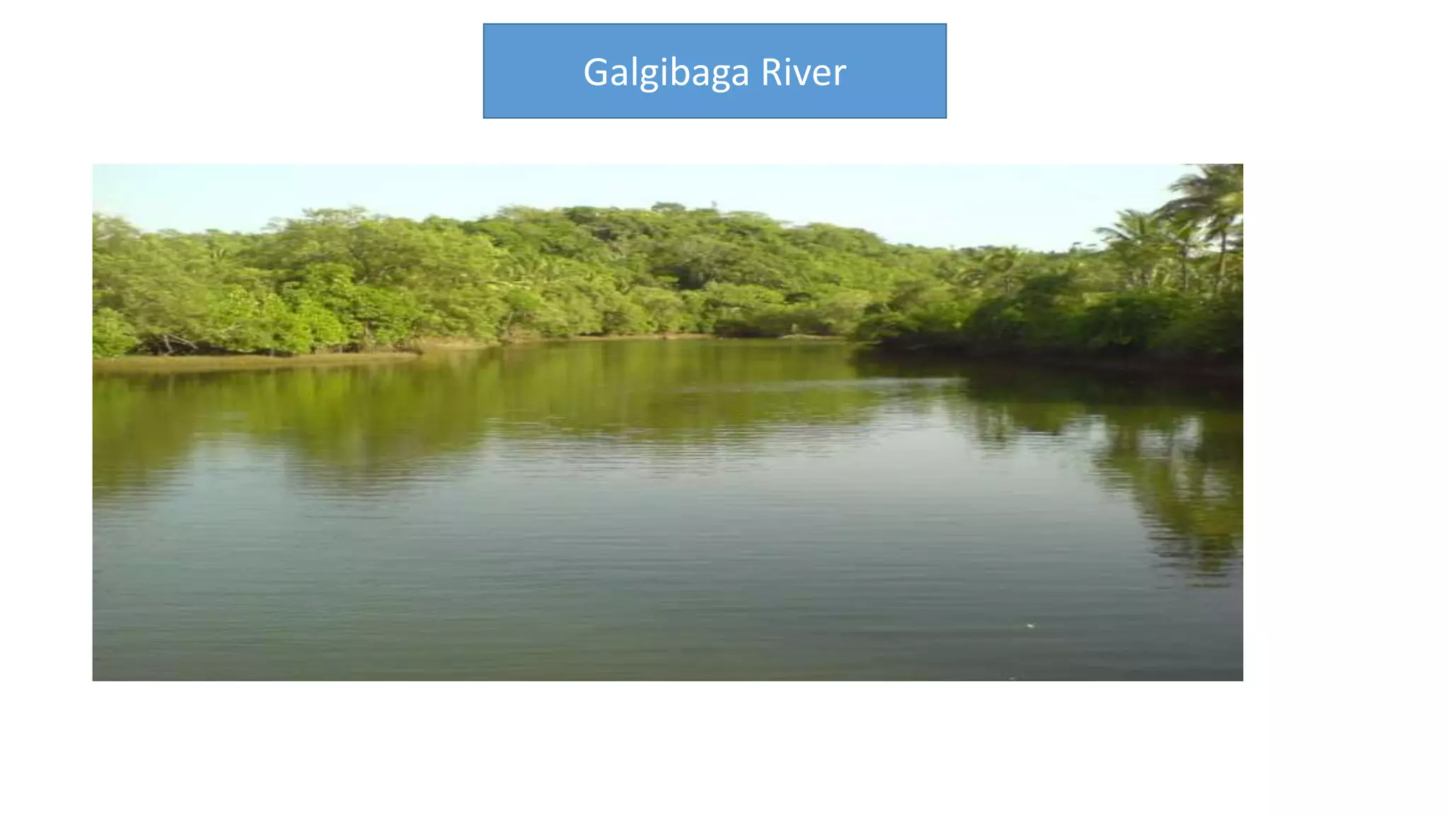 Rivers of Goa | PPTX