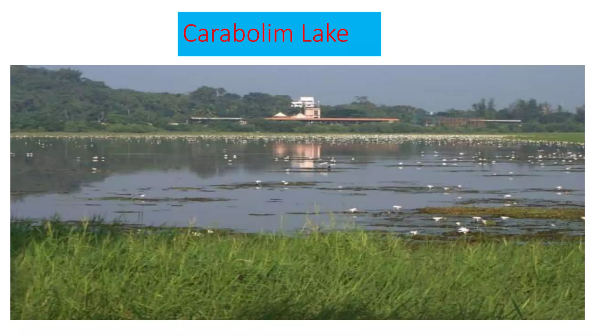 Rivers of Goa | PPTX