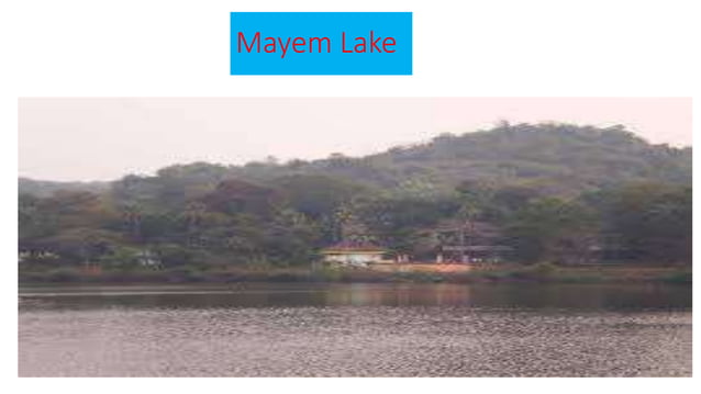 Rivers of Goa | PPTX | Africa Travel | Travel Locations