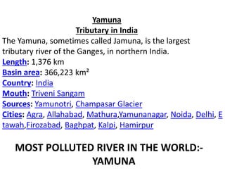 Rivers of india | PPTX
