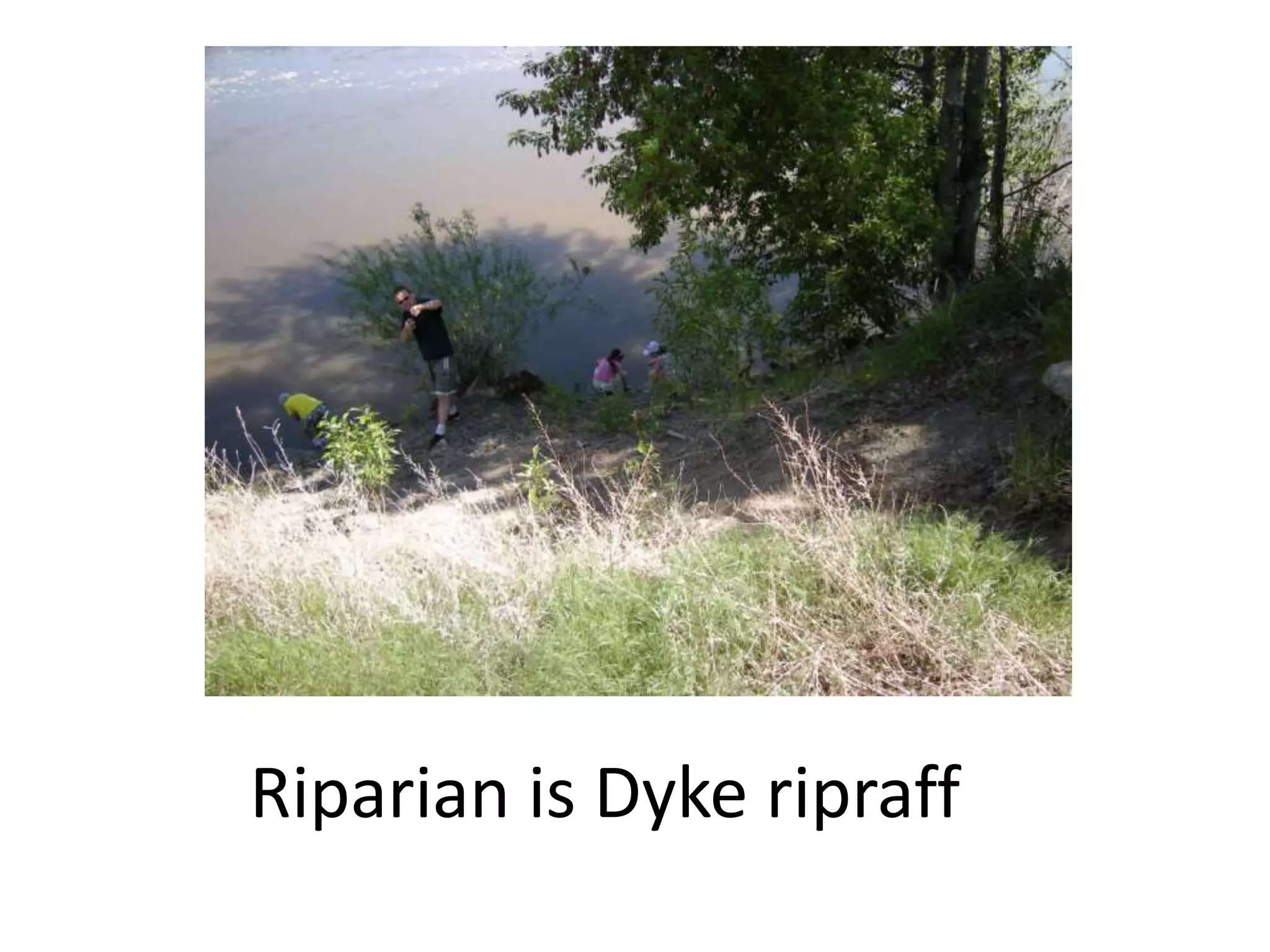 River study ppt | PPT