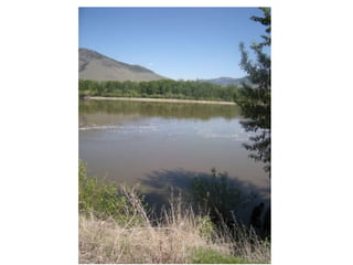 River study ppt | PPT