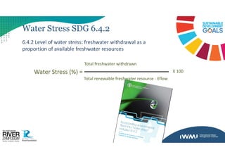The SDGs and Environmental Flows | PDF